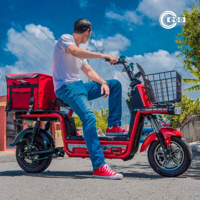 Nosotros – Ecoriders®